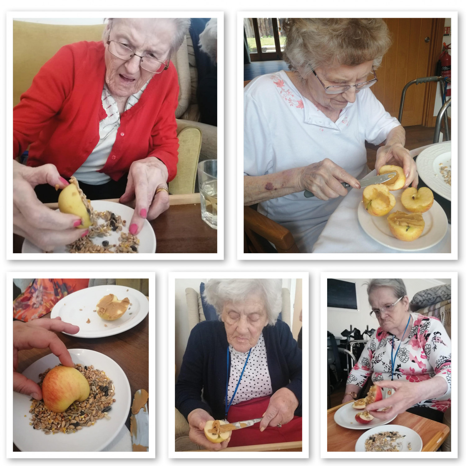 Bird Feeder Making - Carlton Hall